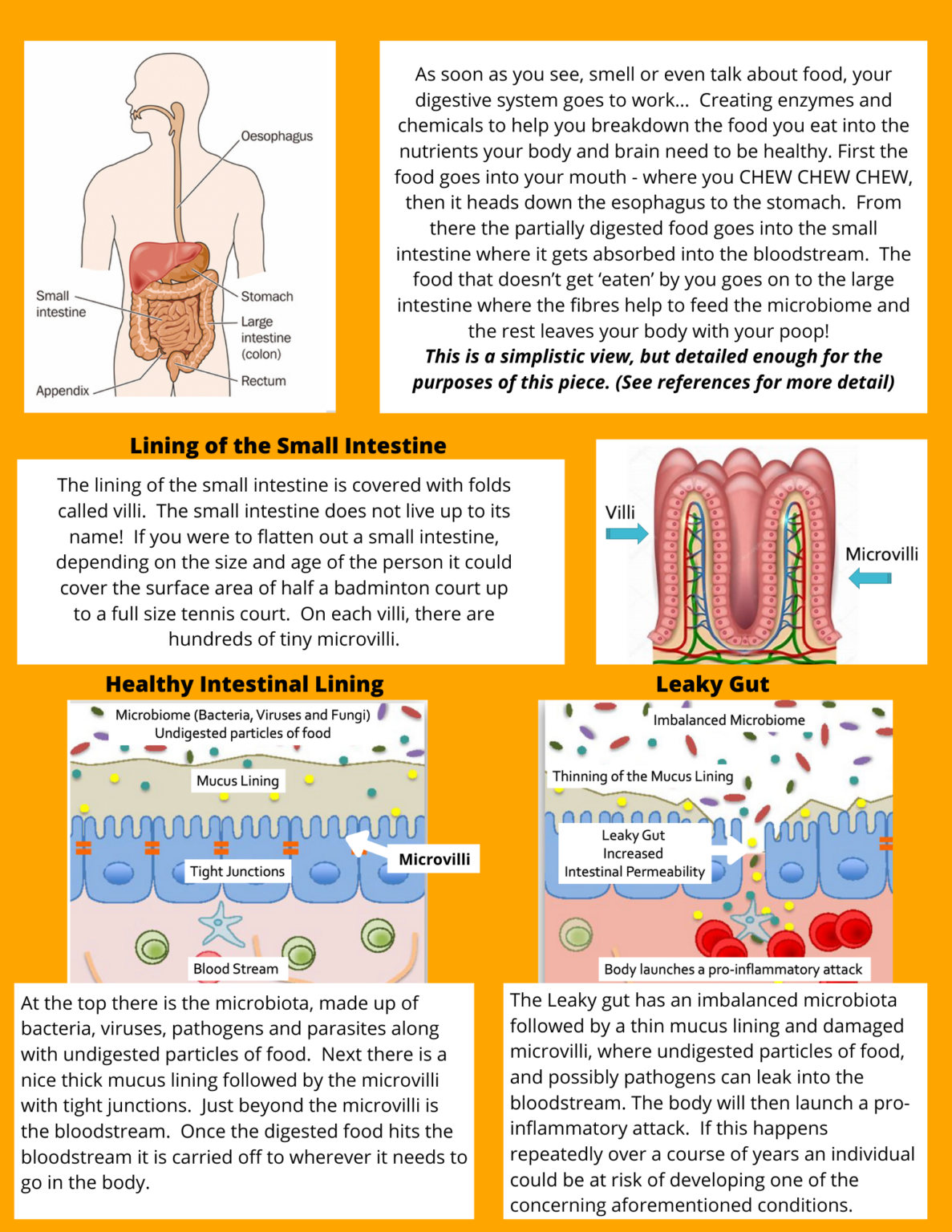 Leaky Gut! - What's Happening...? | Glenda Britton, RHN