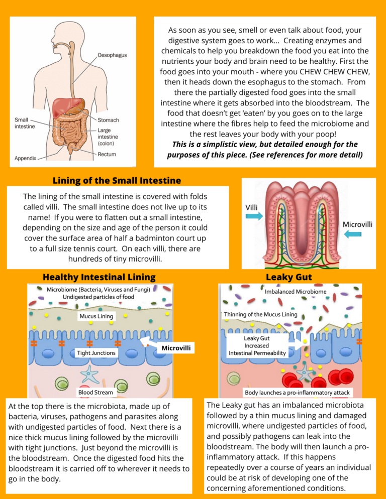 Leaky Gut! - What's Happening...? | Glenda Britton, RHN